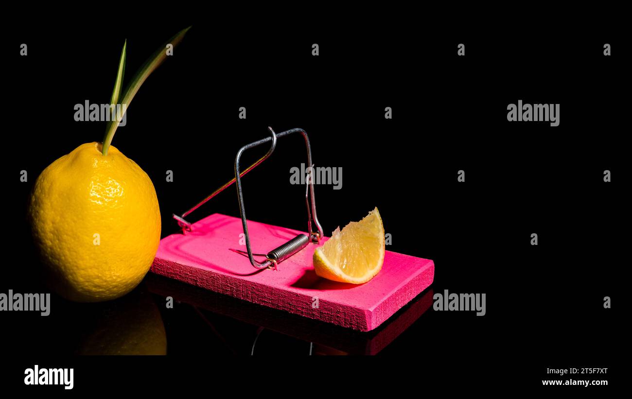 Creative still life with lemon and mousetrap on a black background ...