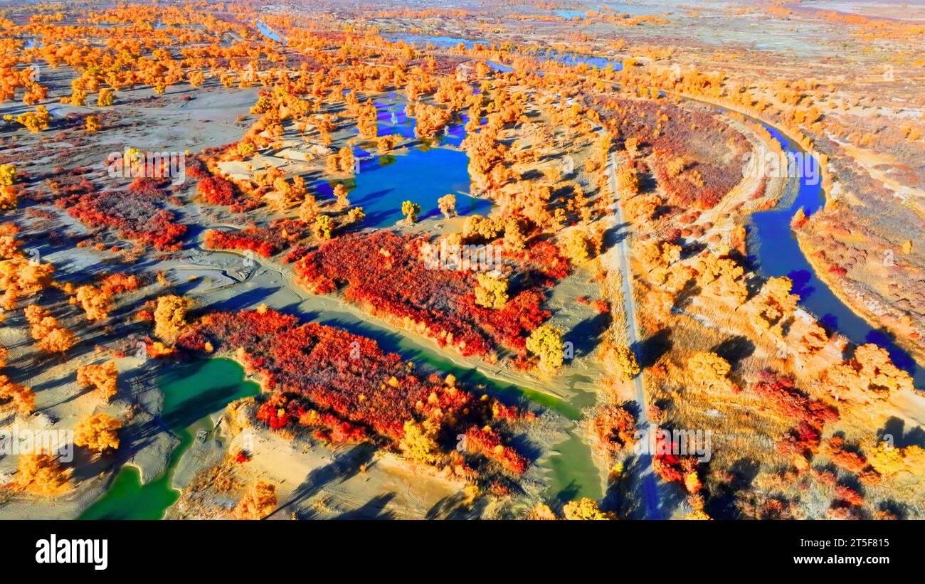 Bazhou, China. 05th Nov, 2023. BAZHOU, CHINA - NOVEMBER 4, 2023 ...