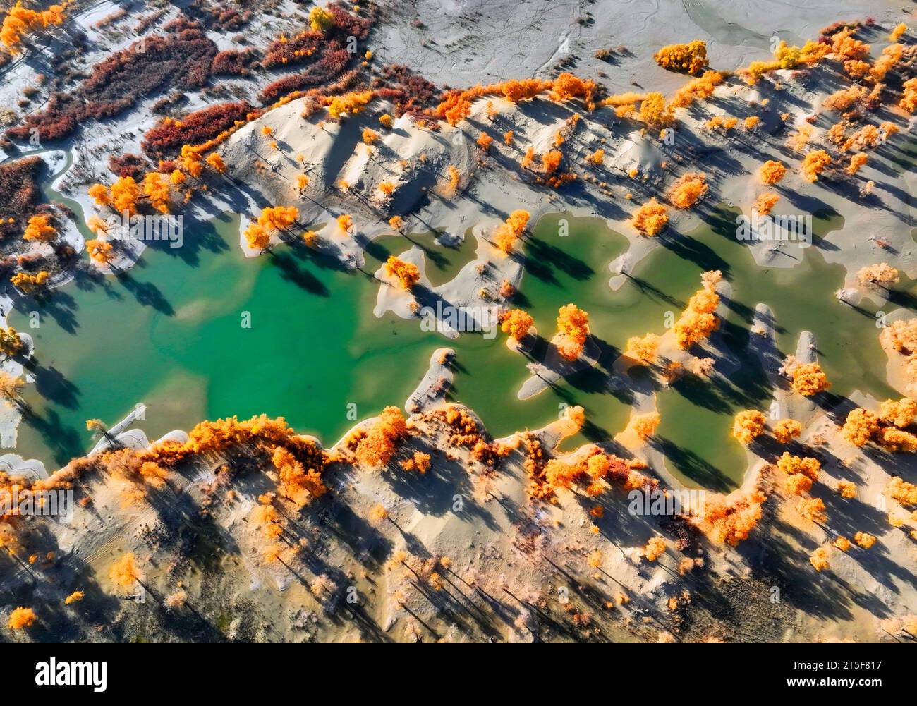 Bazhou, China. 05th Nov, 2023. BAZHOU, CHINA - NOVEMBER 4, 2023 ...