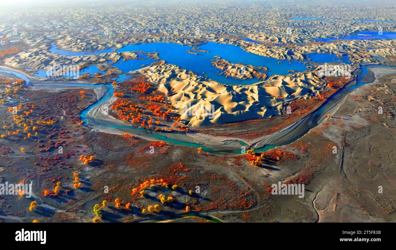 Bazhou, China. 05th Nov, 2023. BAZHOU, CHINA - NOVEMBER 4, 2023 ...