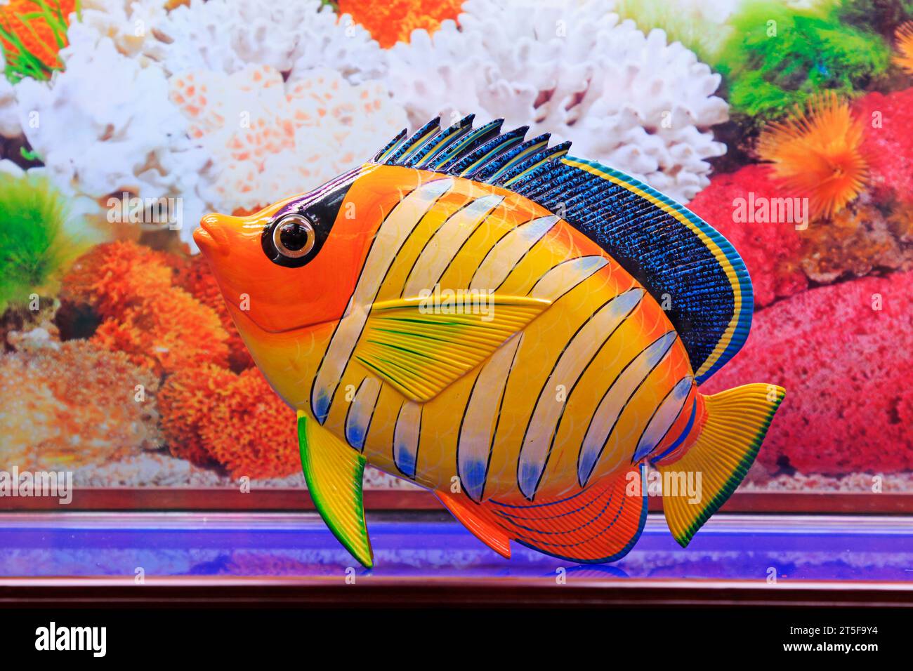 Fish model hi-res stock photography and images - Alamy