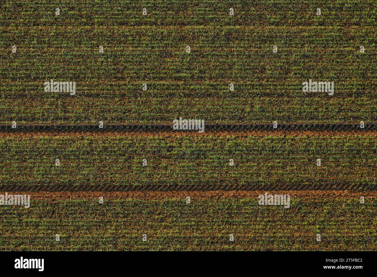 Picture of an aerial view of a field with tractor tracks in the Czech ...