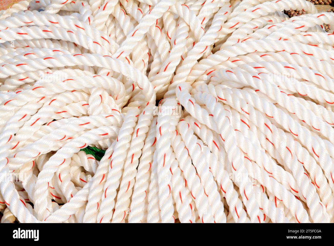 White nylon tape rolls in a shop, closeup of photo Stock Photo - Alamy