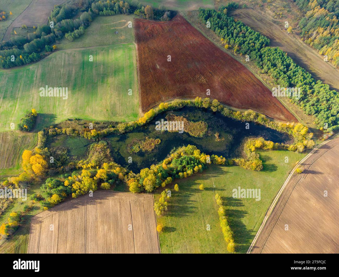 Aerial view of a lake in the forests of Lithuania, wild nature. The ...