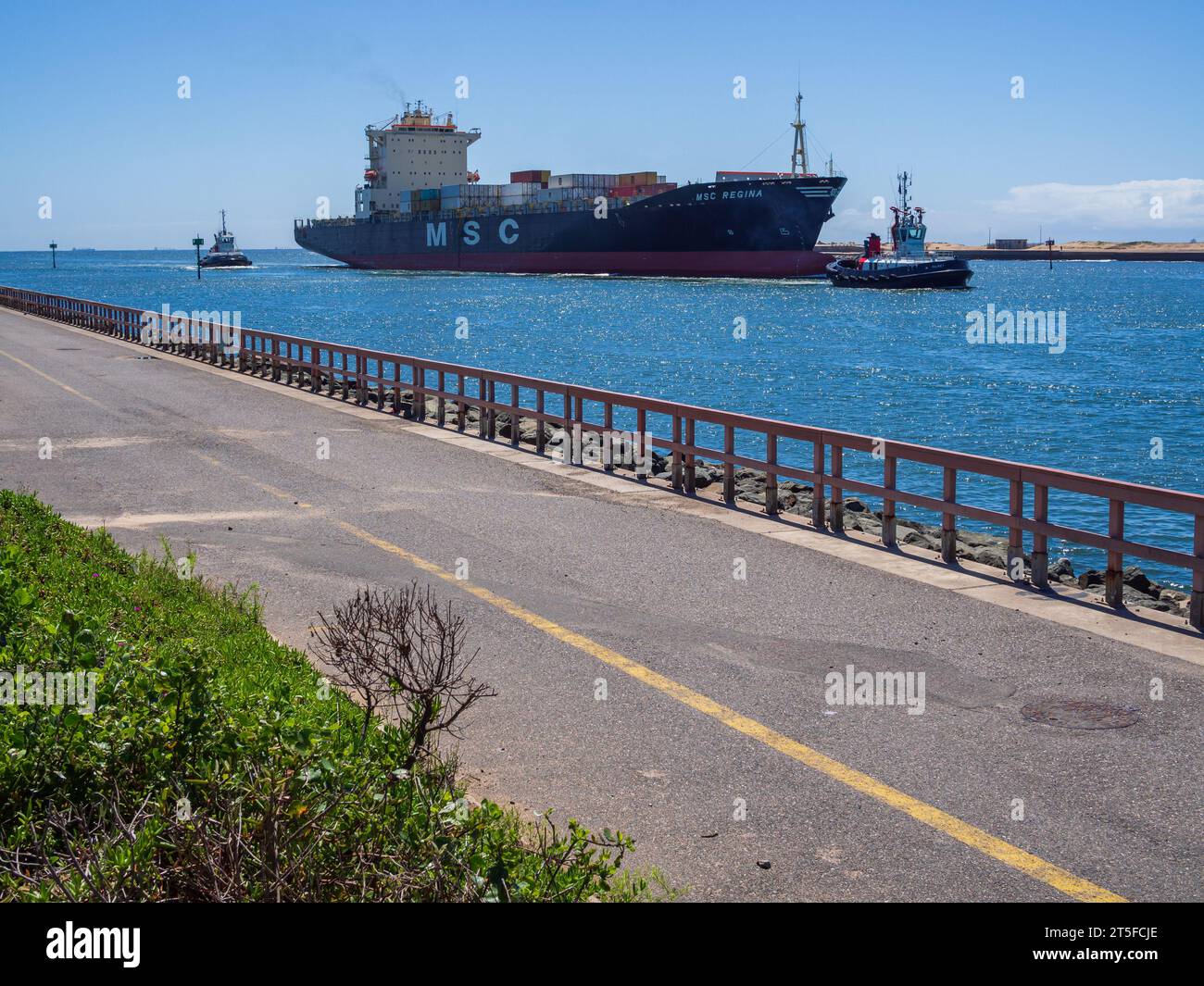 Container Ship MSC REGINA arriving at Durban Port Stock Photo - Alamy