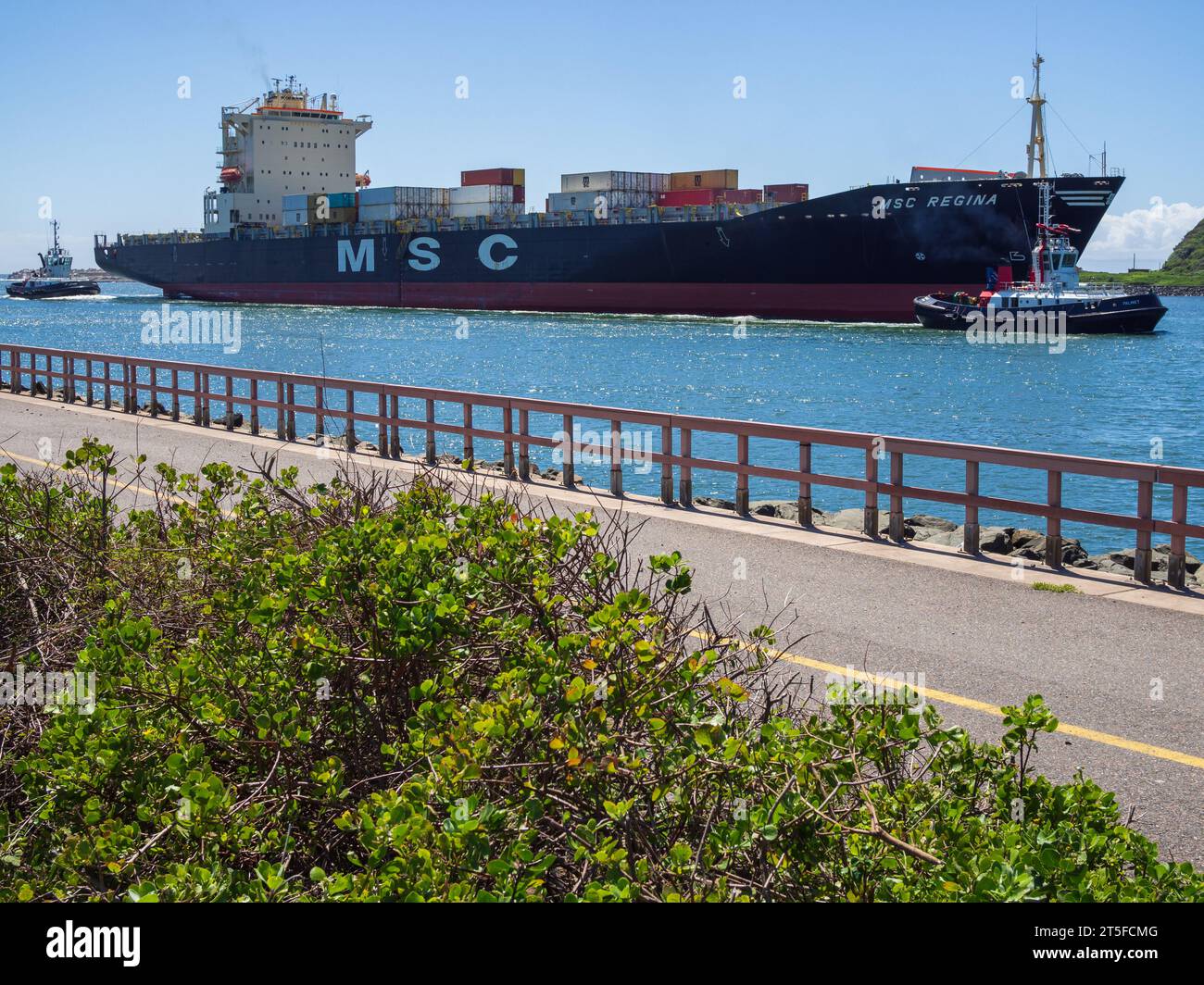 Container Ship MSC REGINA arriving at Durban Port Stock Photo - Alamy