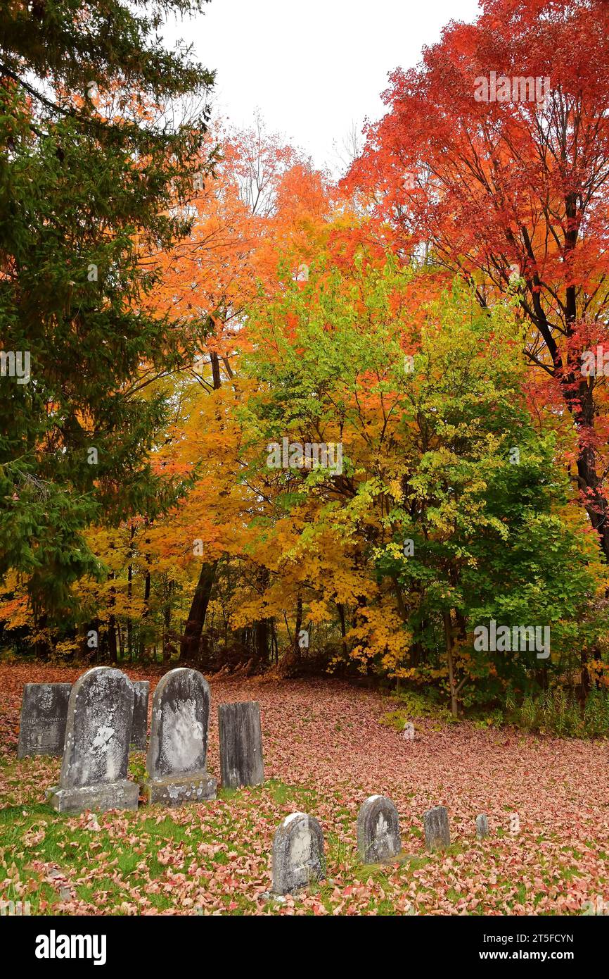 colorful fall foliage next to eighteenth century german lutheran flohr ...