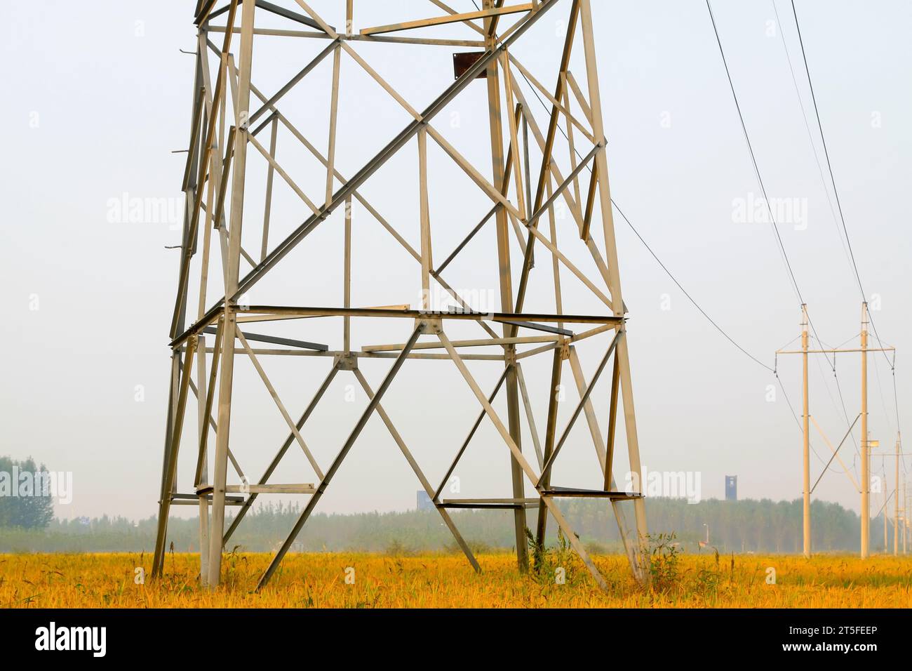 electric tower in the sky, steel power transmission facilities Stock ...