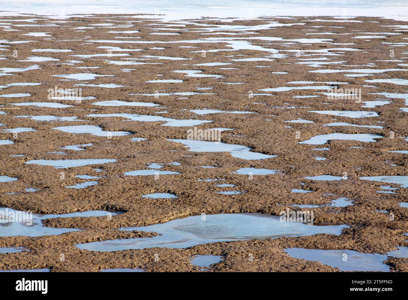 Dangerous mud flats hi-res stock photography and images - Alamy
