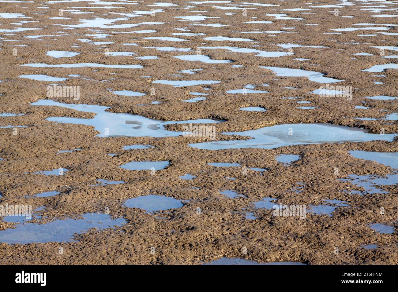 Intertidal flats landscape hi-res stock photography and images - Alamy