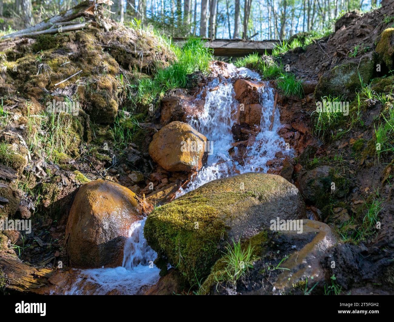 spring landscape from a spring with a rapid rusty waterfall, rocks ...