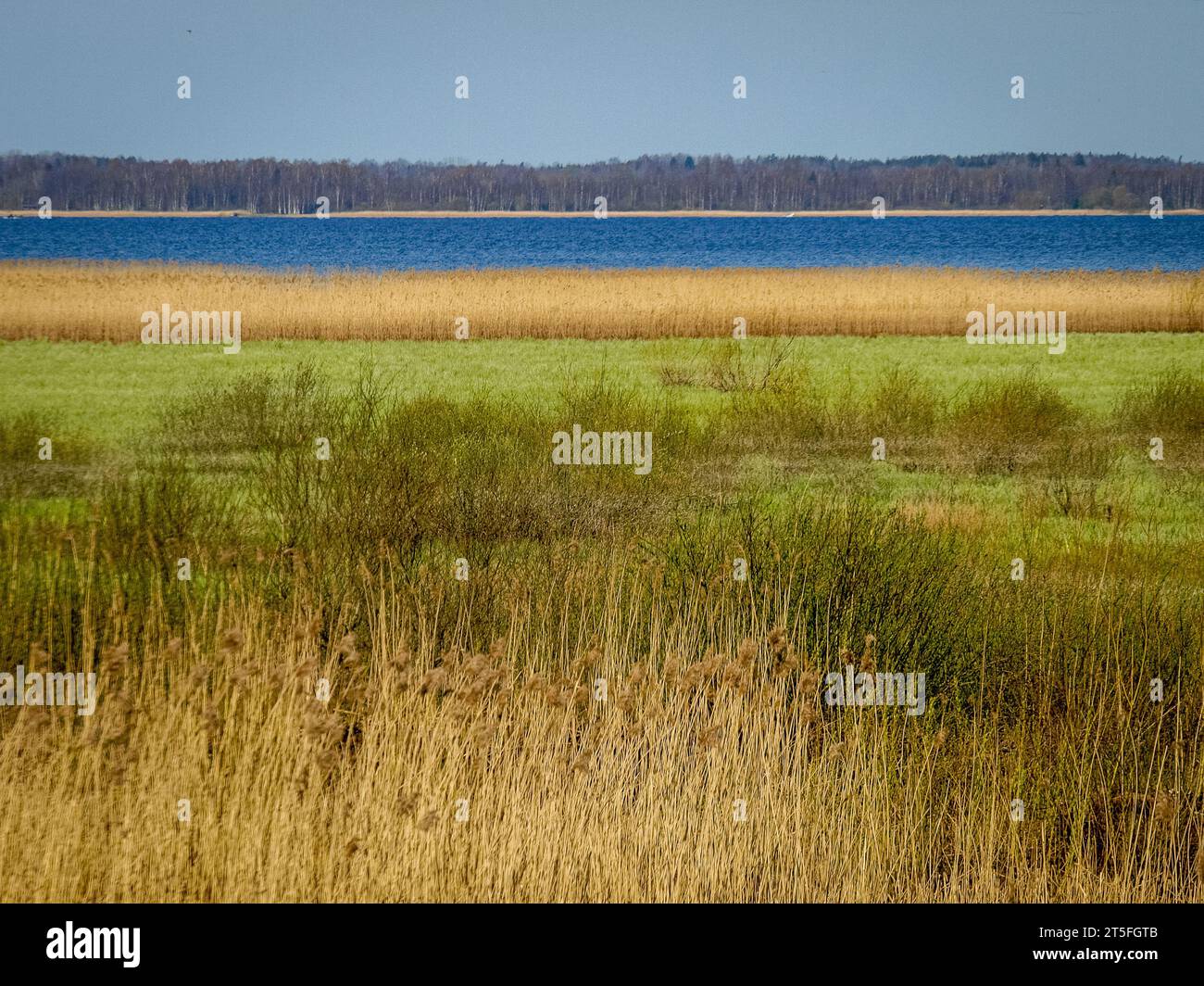 bright landscape with lake shore, flooded lake meadows, first spring ...
