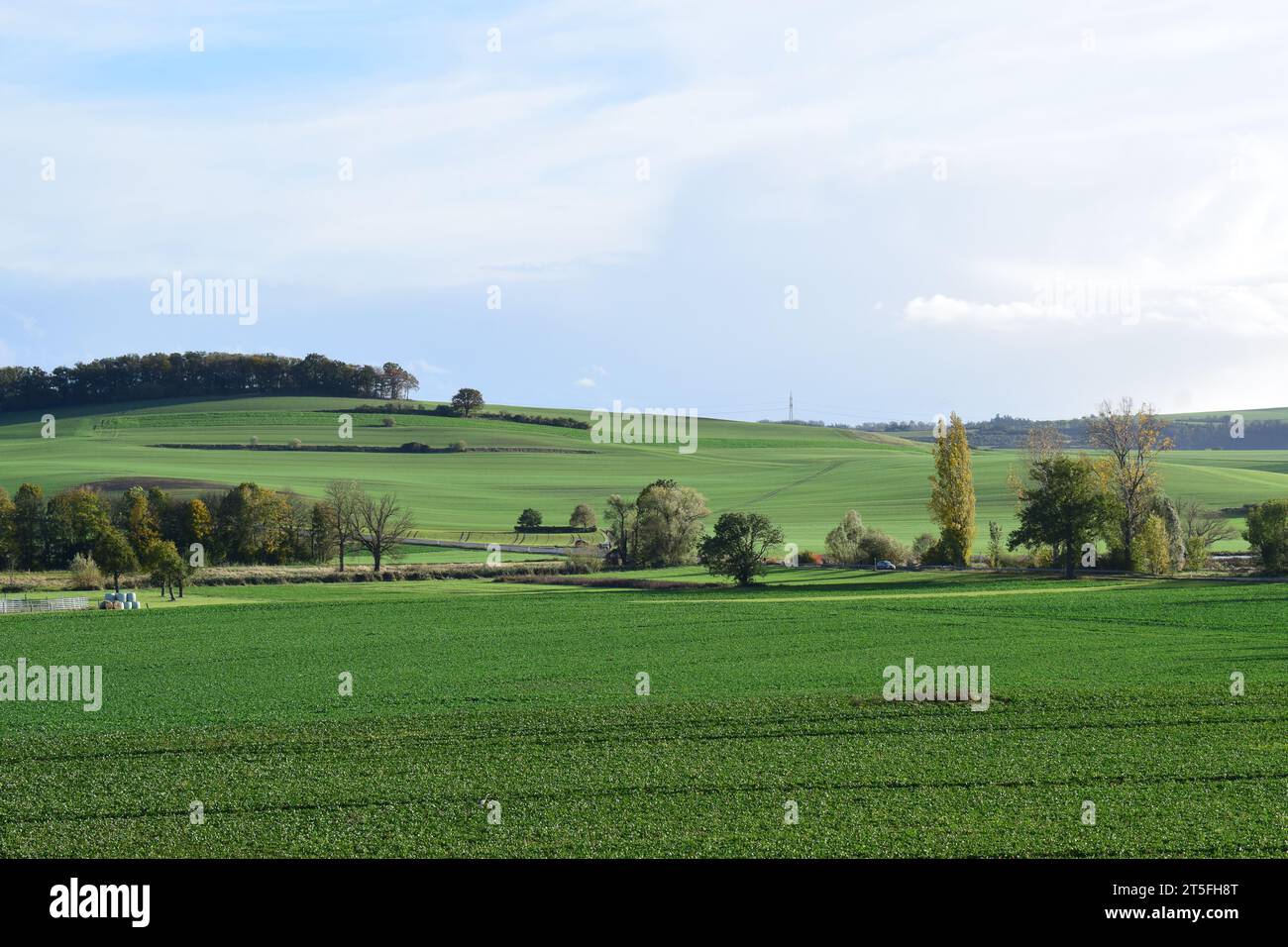 autumn colored Thürer Wiesen Stock Photo - Alamy