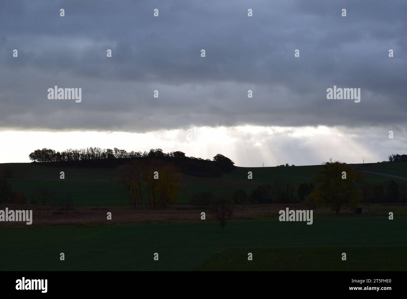 Wiesen fallen hi-res stock photography and images - Alamy