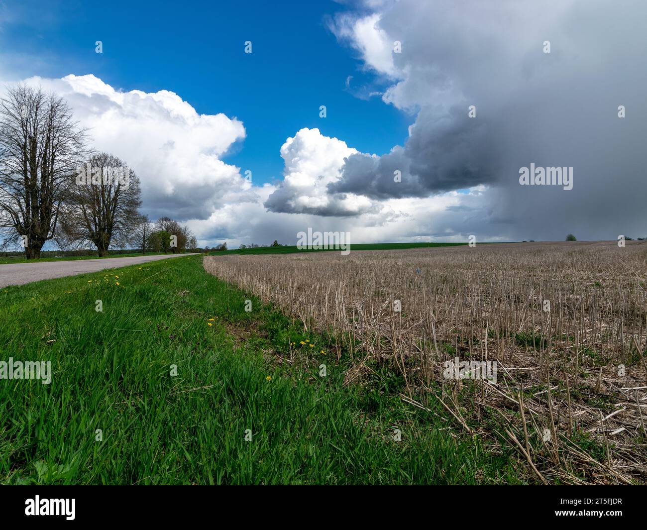 spring rural landscape from gray land field and green grass, high blue ...