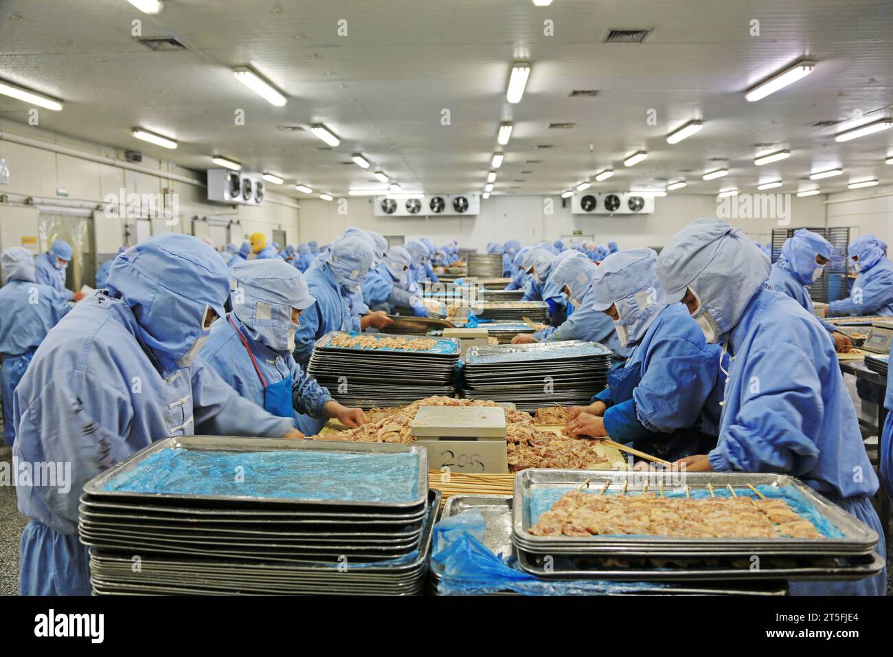 Meat production line hi-res stock photography and images - Alamy