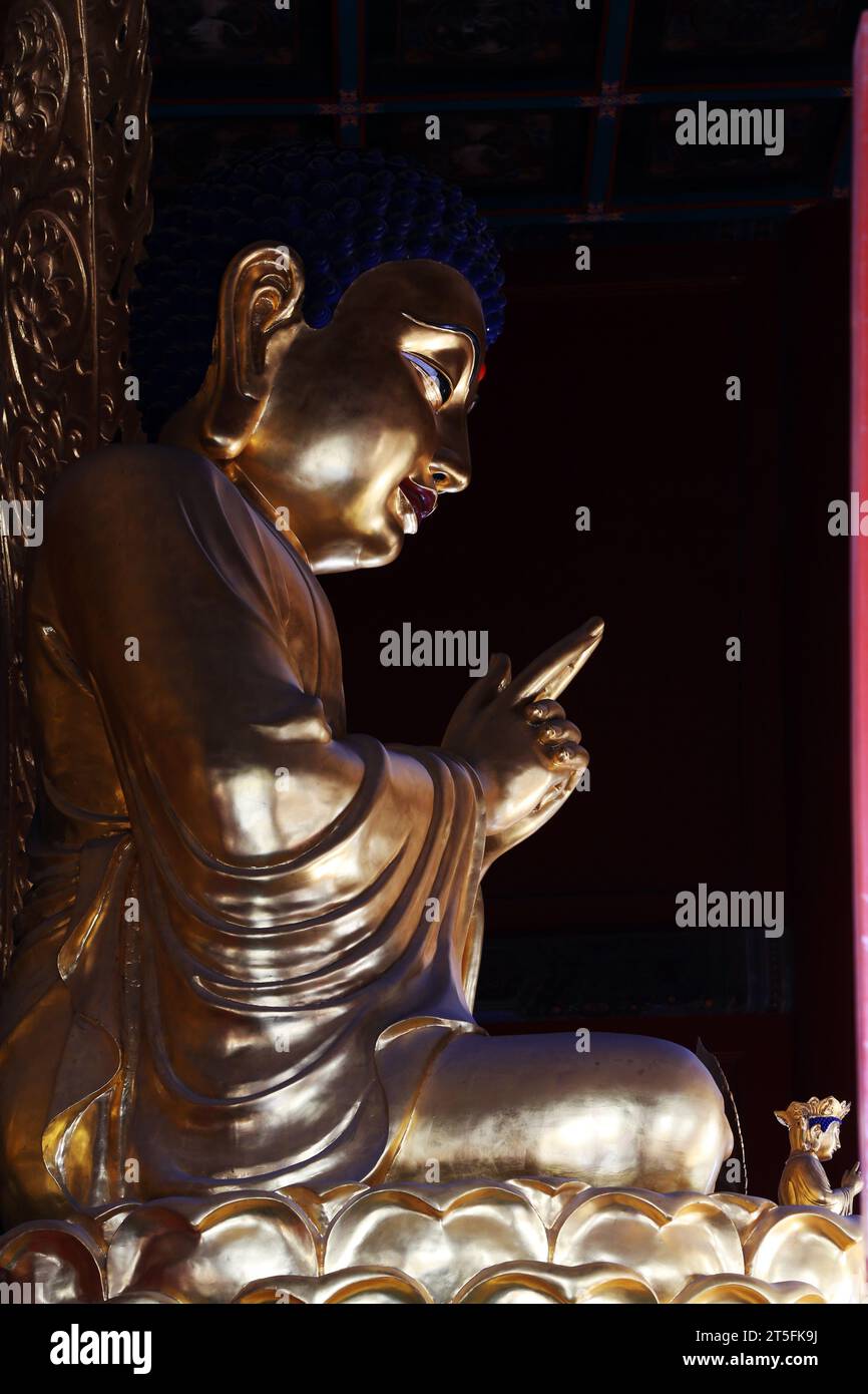 BEIJING - DECEMBER 22: The golden Buddha in the Wanchun Pavilion of the ...