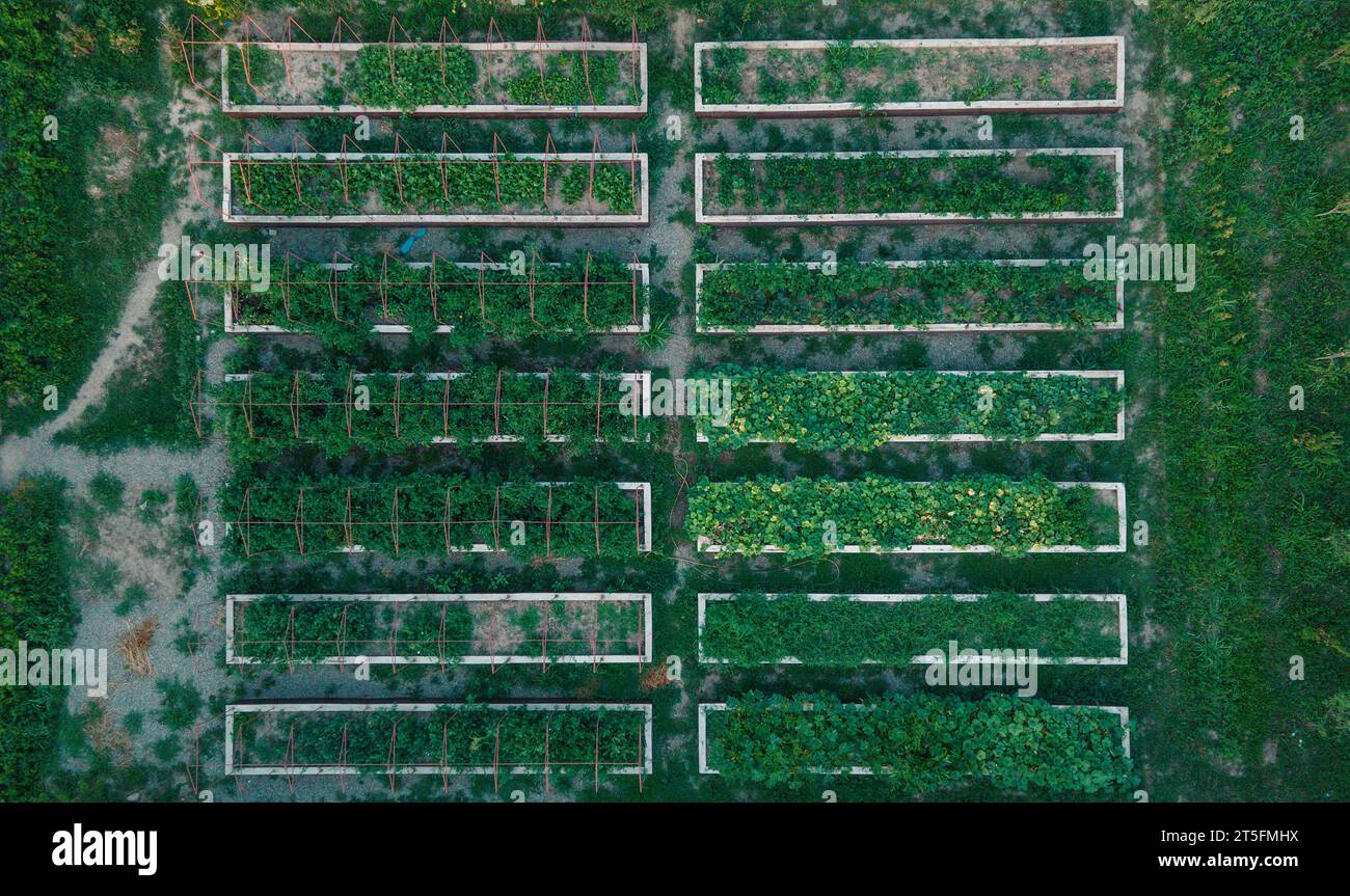 With separate boxes hi-res stock photography and images - Alamy