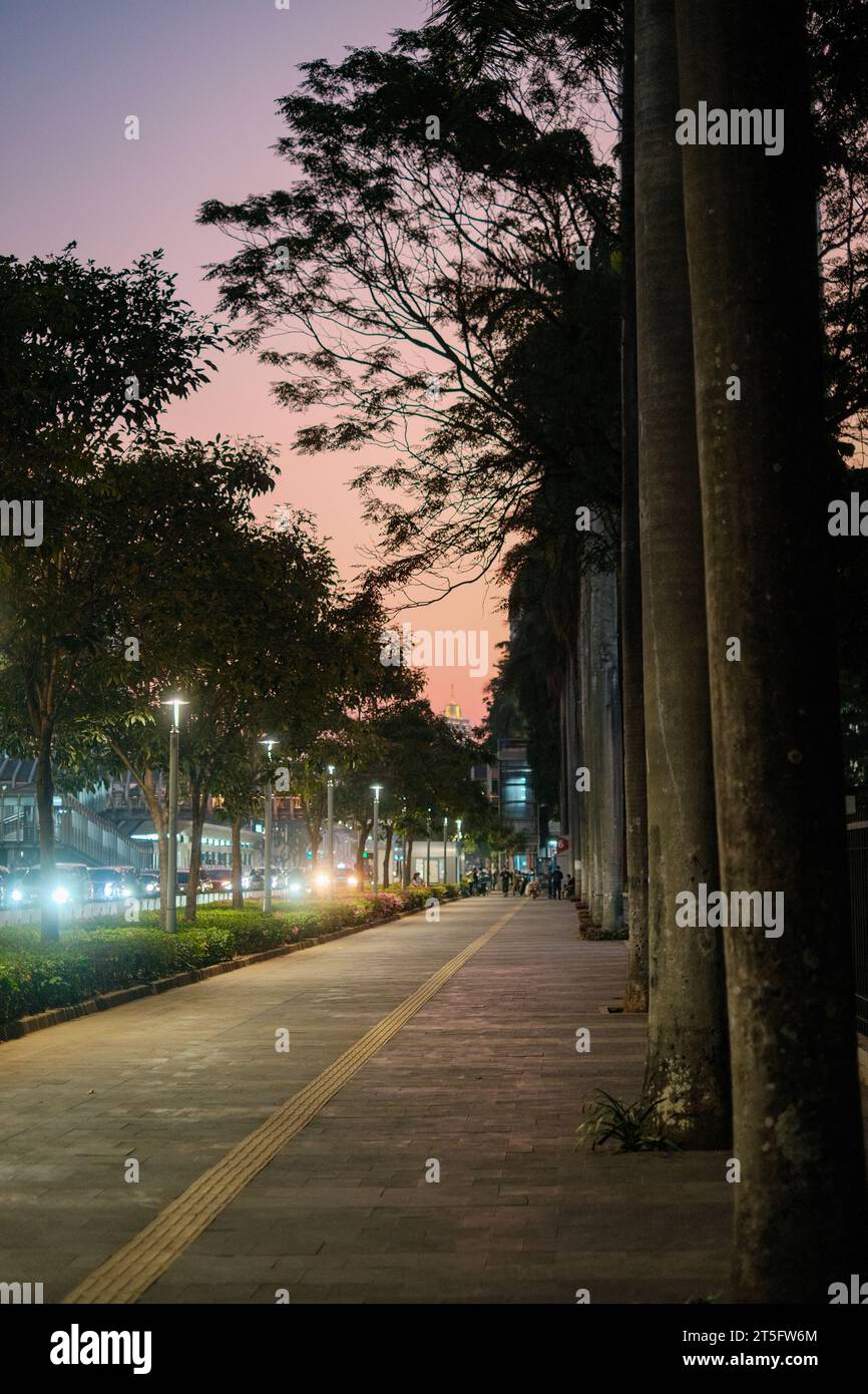 A vertical perspective reveals the tranquil charm of Jakarta's ...