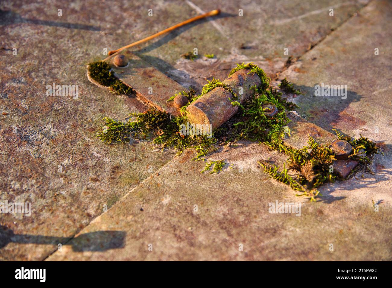 Bois et vieux clous hi-res stock photography and images - Alamy