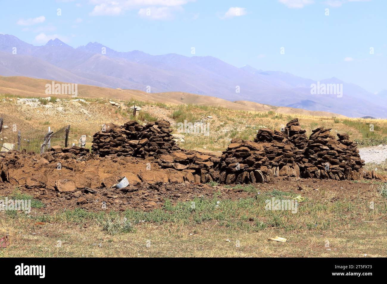 a large dung heap as heating fuel on a horse farm in Kyrgyzstan in ...