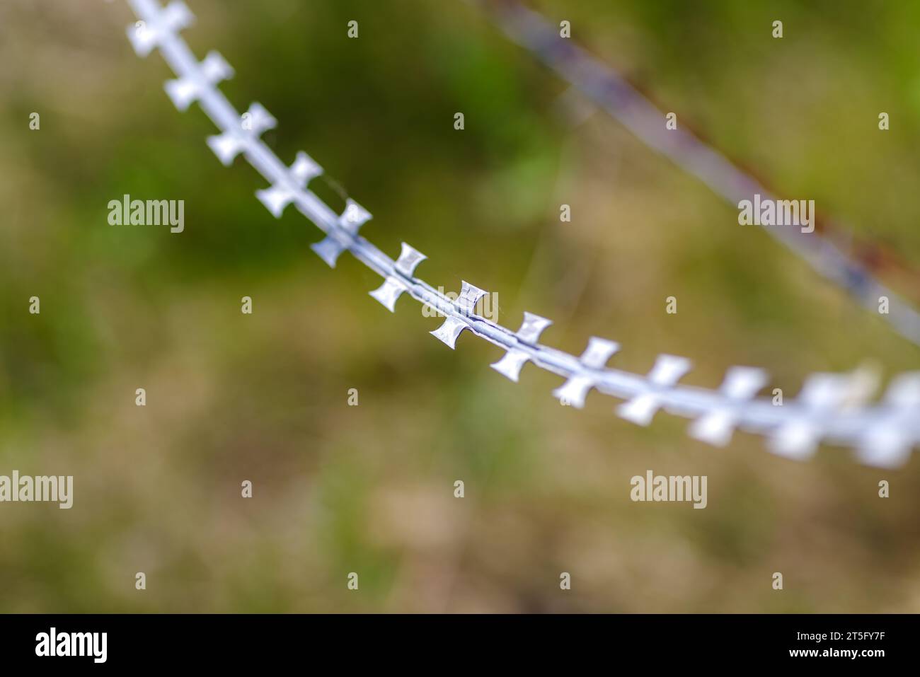 closeup of very sharp razor blade barbed wire Stock Photo - Alamy