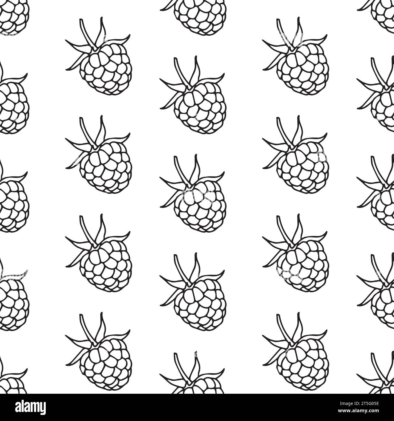 raspberries seamless pattern. Seamless background with raspberry ...