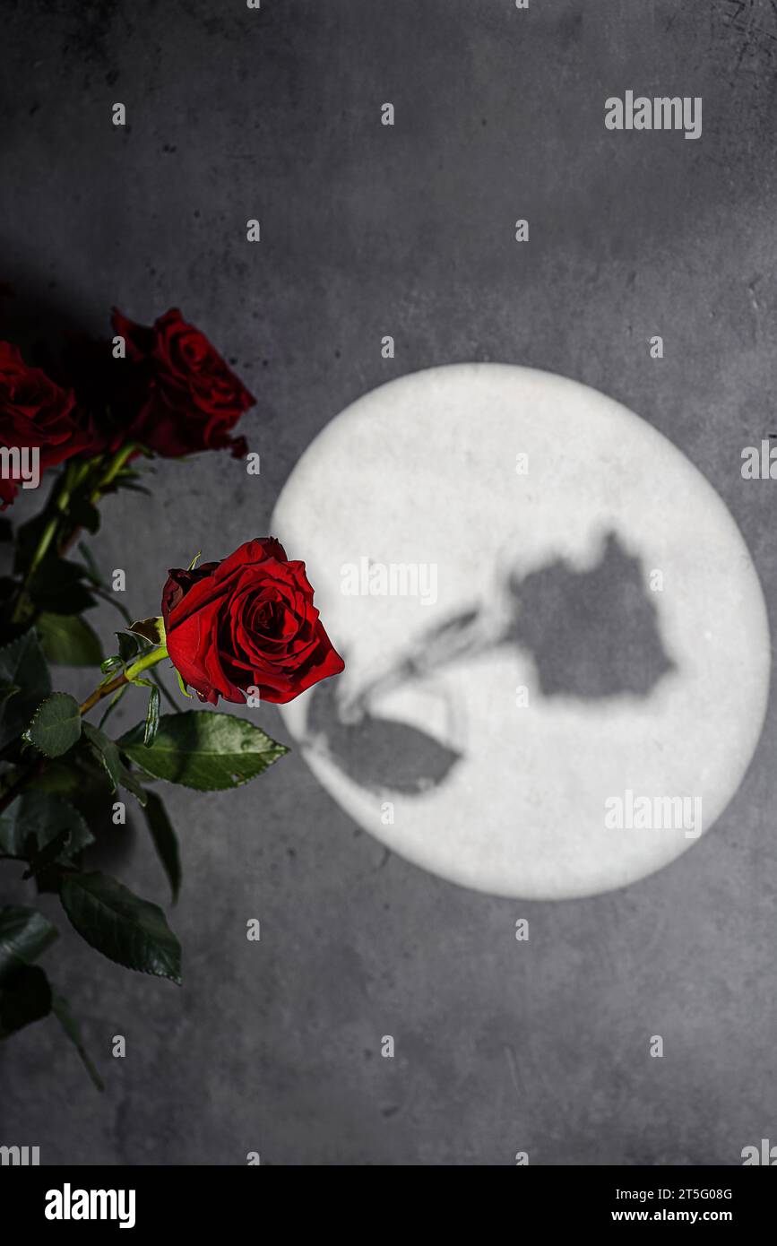 Gobo light hi-res stock photography and images - Alamy