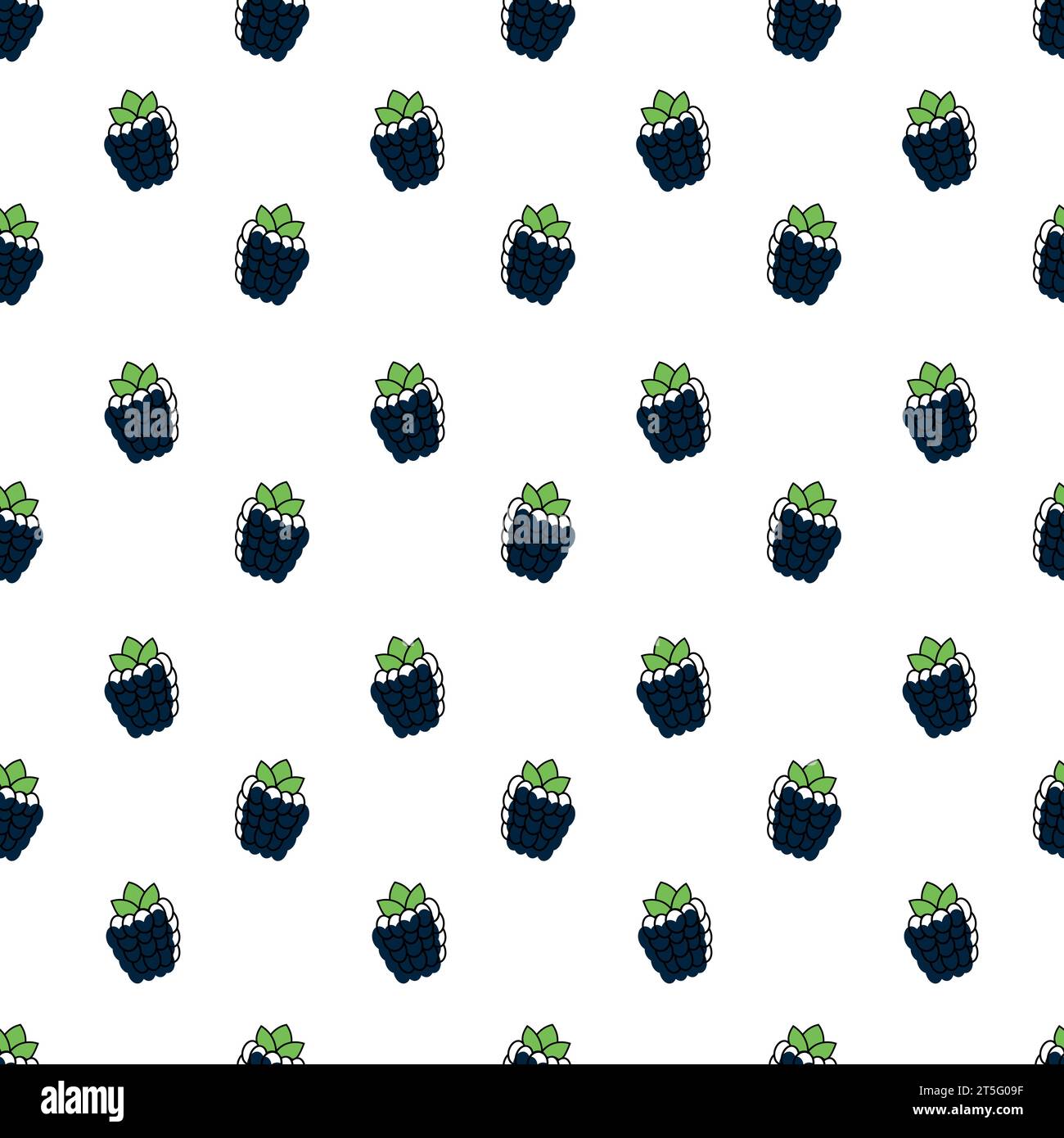 Blackberries seamless pattern. Seamless background with raspberry and ...