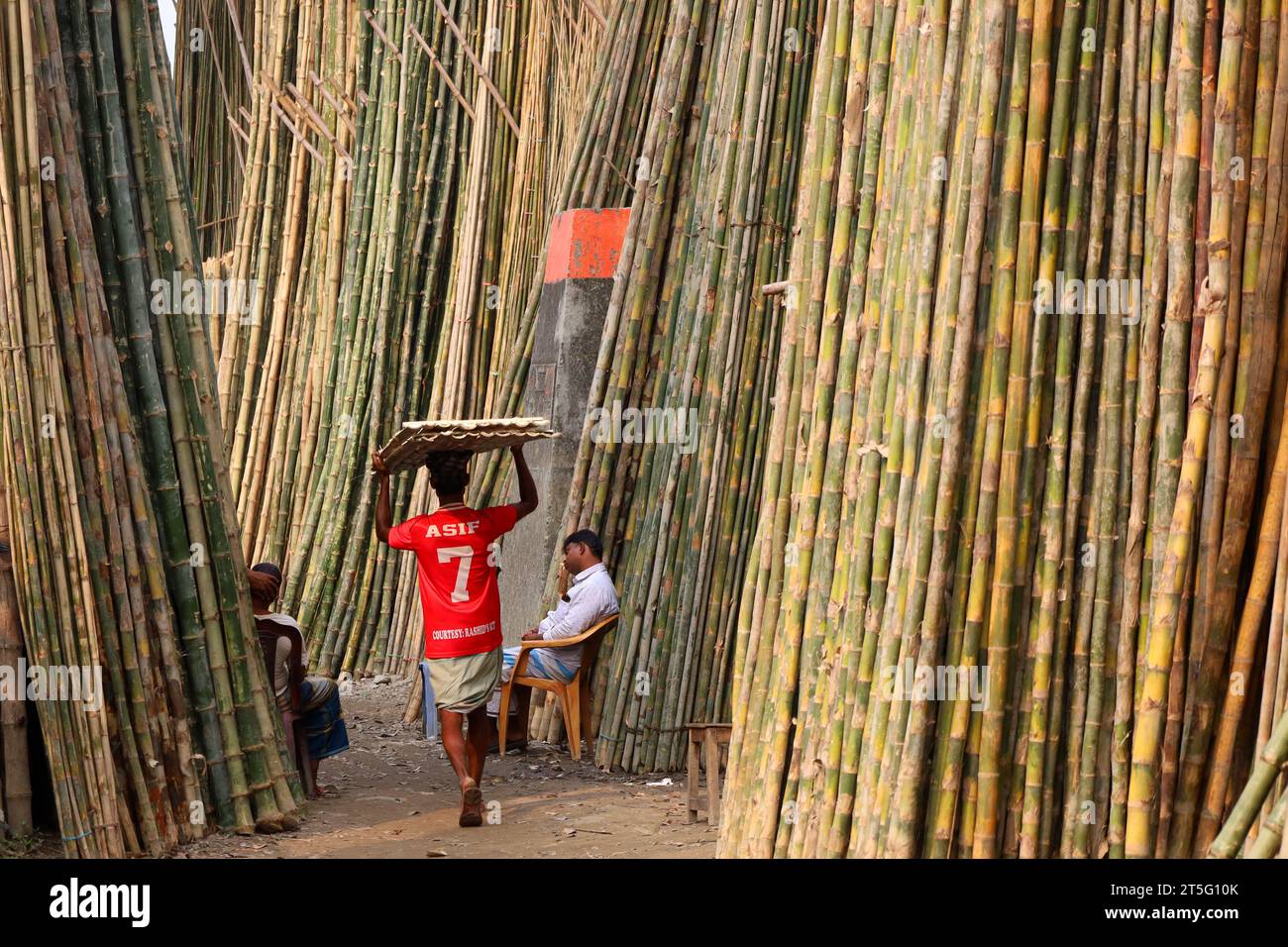 Dhaka, Dhaka, Bangladesh. 5th Nov, 2023. A worker carries bamboo at the ...