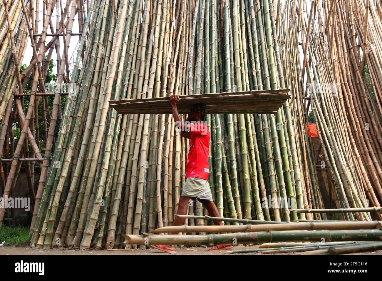 Dhaka, Dhaka, Bangladesh. 5th Nov, 2023. A worker carries bamboo at the ...