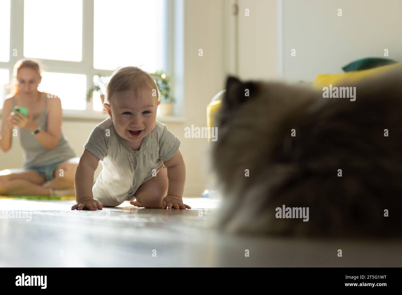 A Curious Baby Crawling Towards a Playful Cat, with a Loving Mother and ...