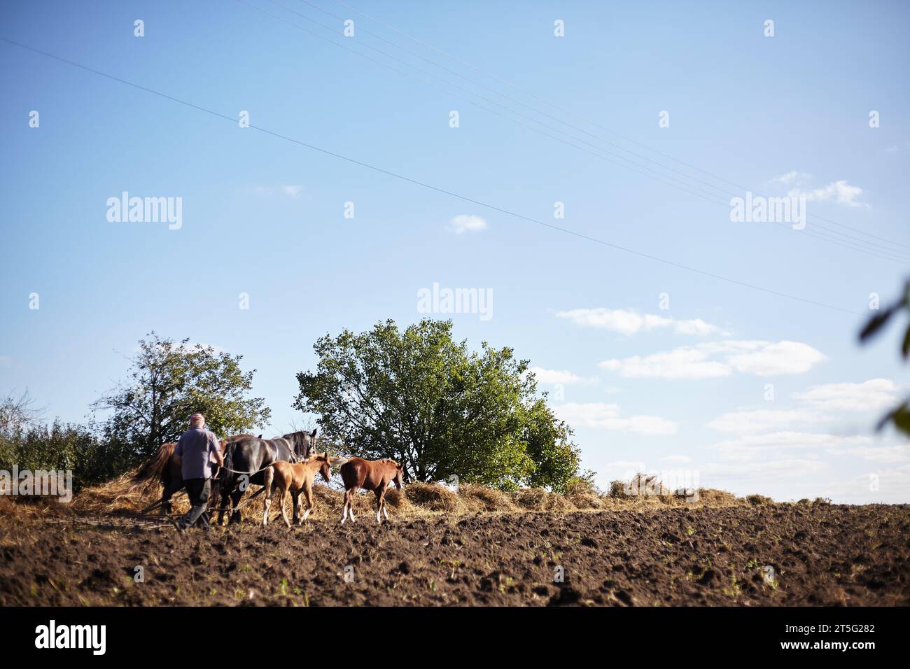 Land under the plow hi-res stock photography and images - Alamy