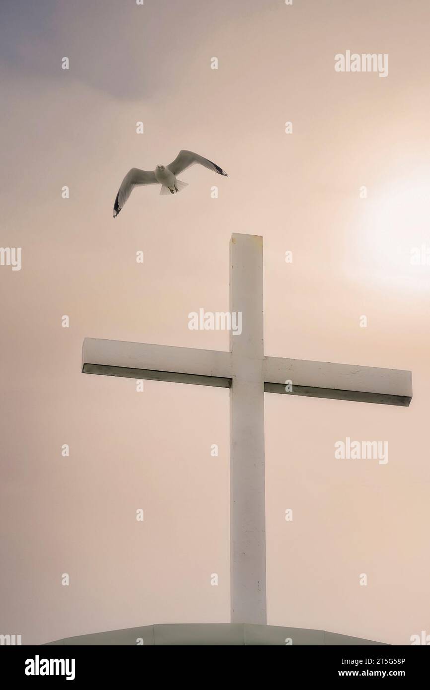 Holy spirit bird cross hi-res stock photography and images - Alamy