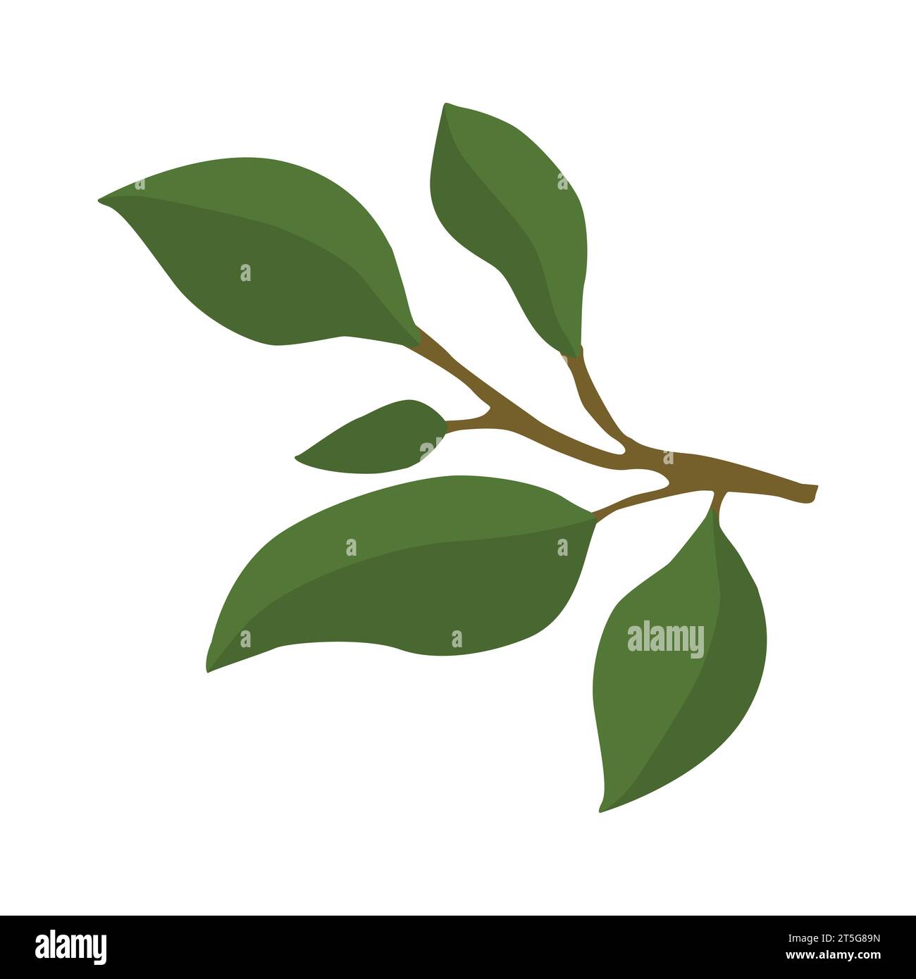 A sprig of lemon in a flat style. Vector illustration highlighted on a ...