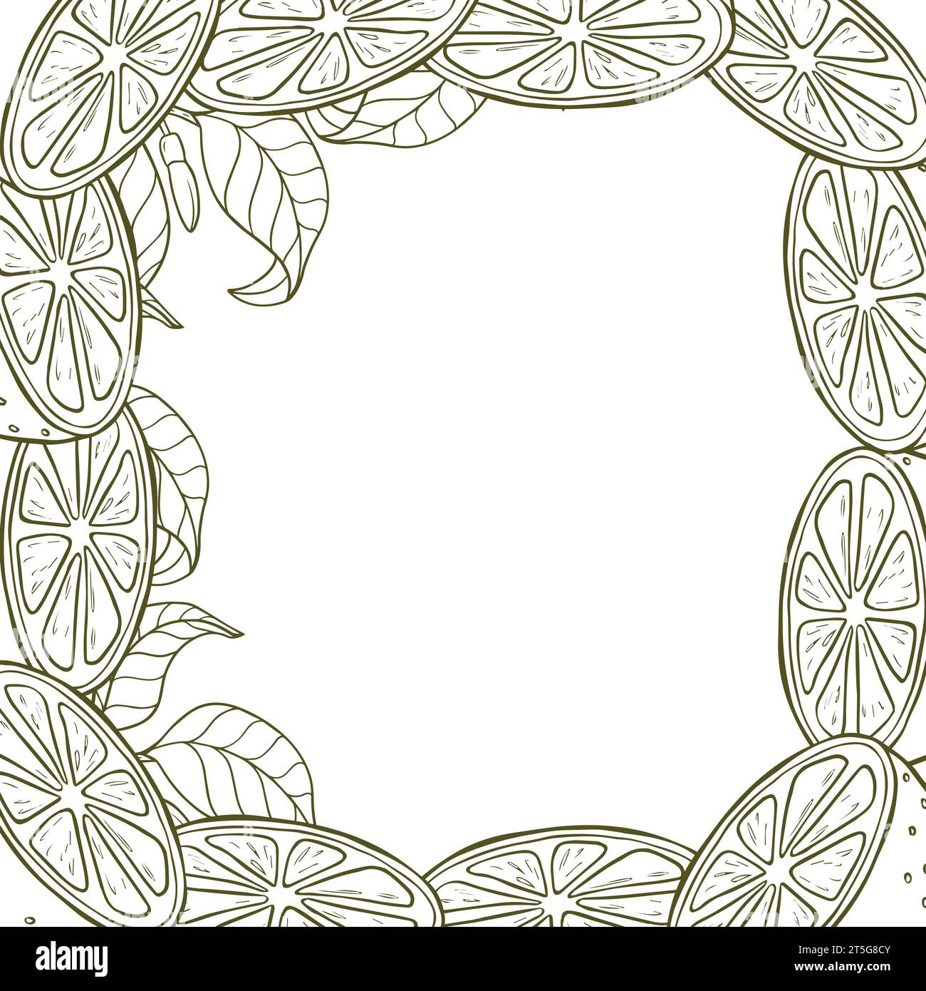 A border of lemon twigs and lemon slices. A composition of citrus ...