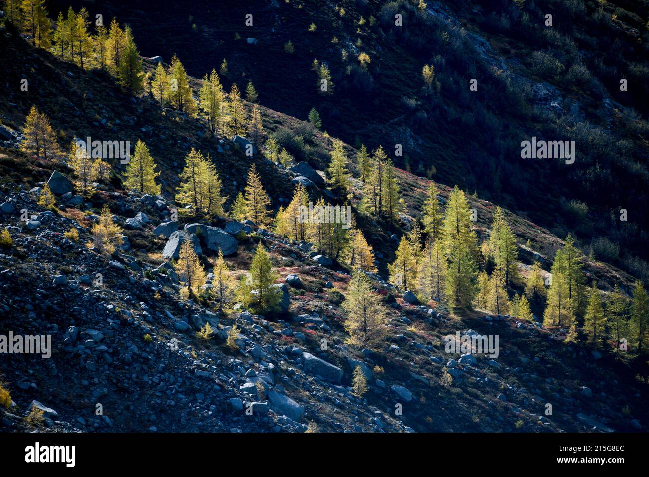 Gletscher der erde hi-res stock photography and images - Alamy