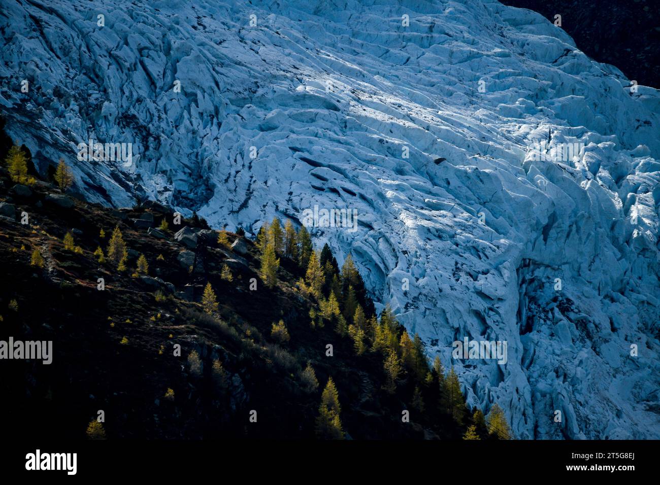 Gletscher der erde hi-res stock photography and images - Alamy
