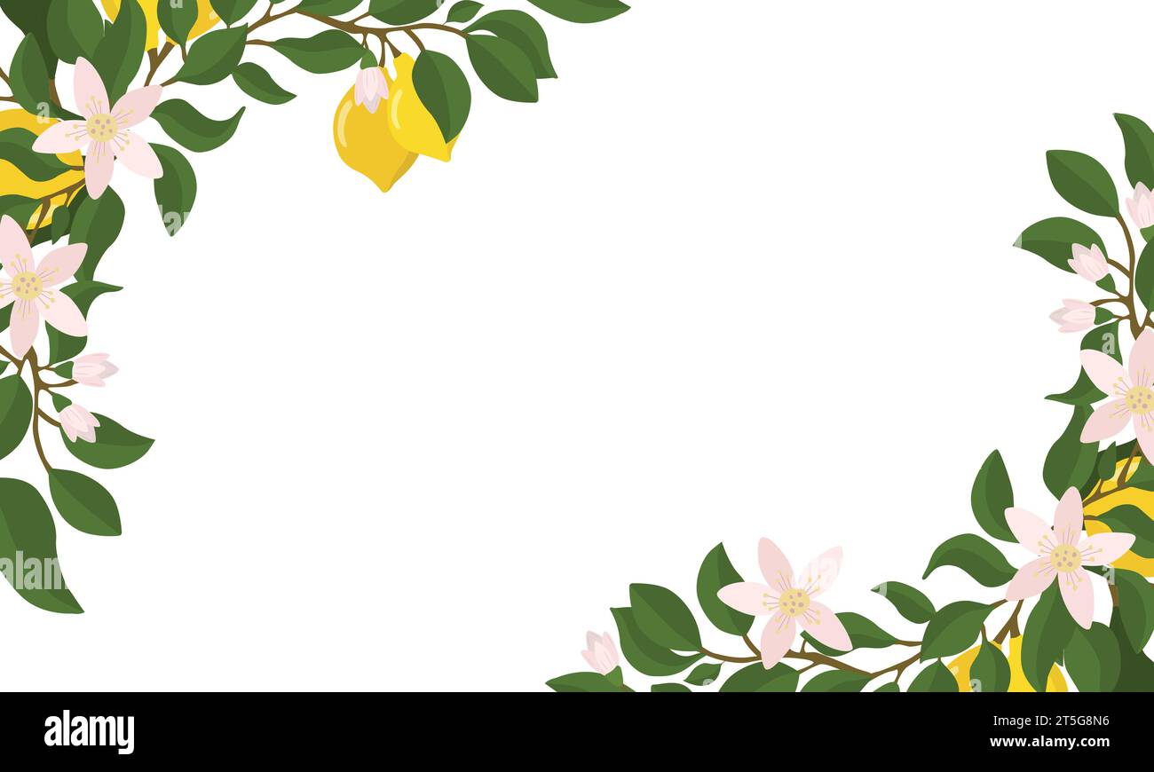 Rectangular border of lemon twigs and lemons, angular composition ...