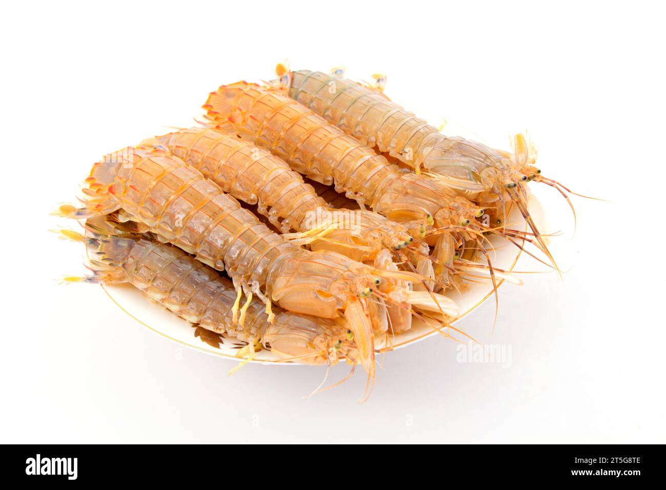 Closeup fresh mantis shrimp hi-res stock photography and images - Alamy