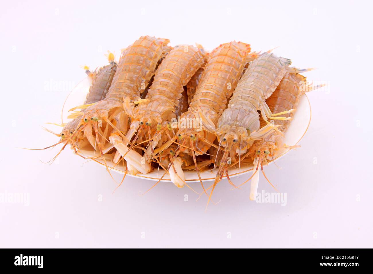 closeup of fresh mantis shrimp on a white background Stock Photo - Alamy