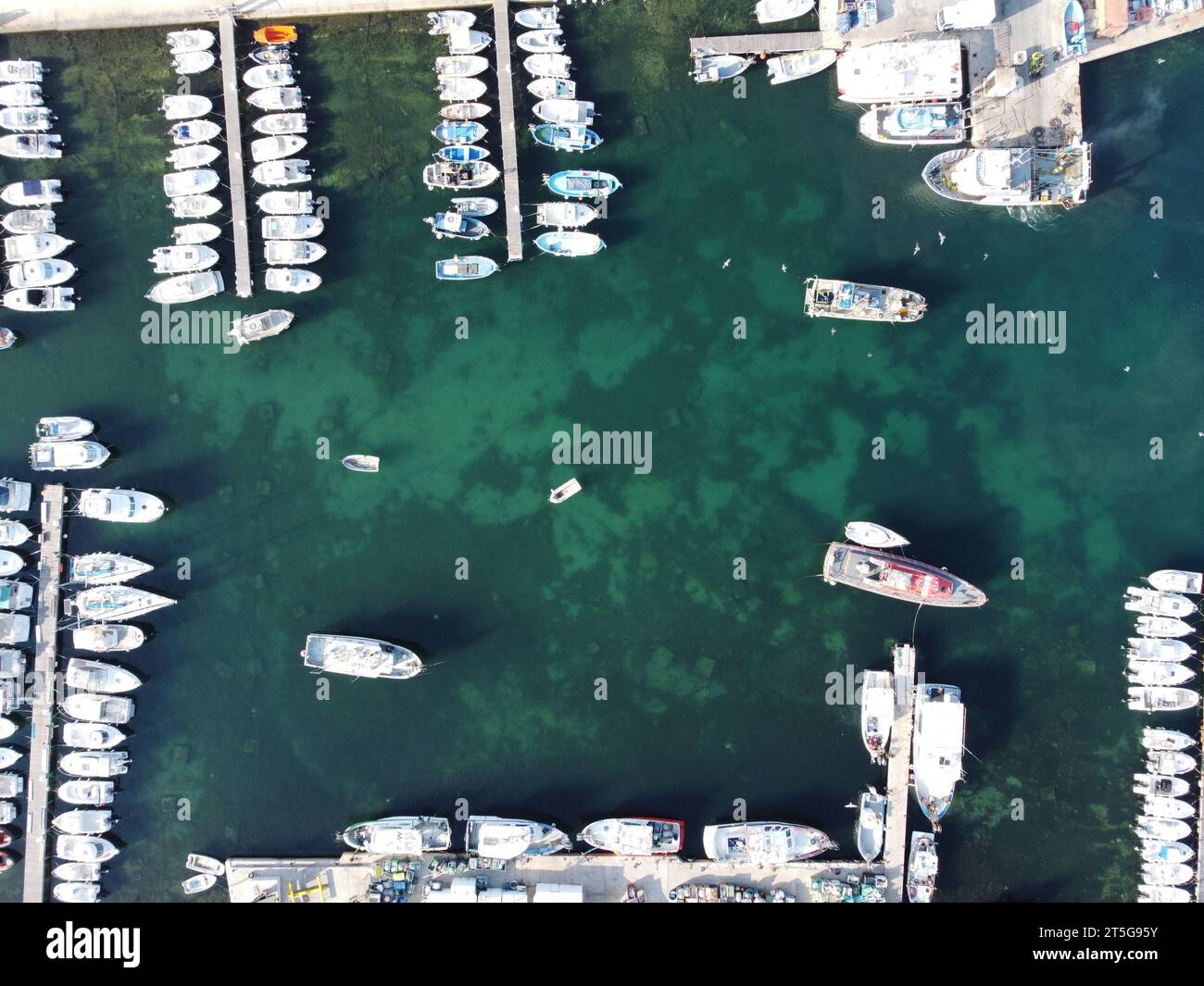 Top down aerial view of fishing boats, yachts and seaweed patterns ...