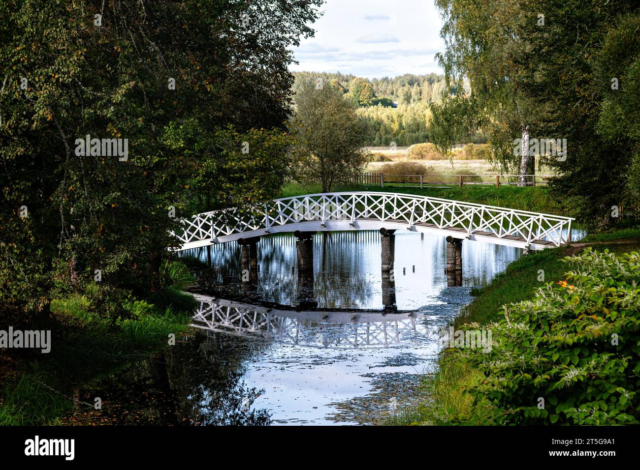 Arched pedestrian bridge of white color across the park pond in the ...