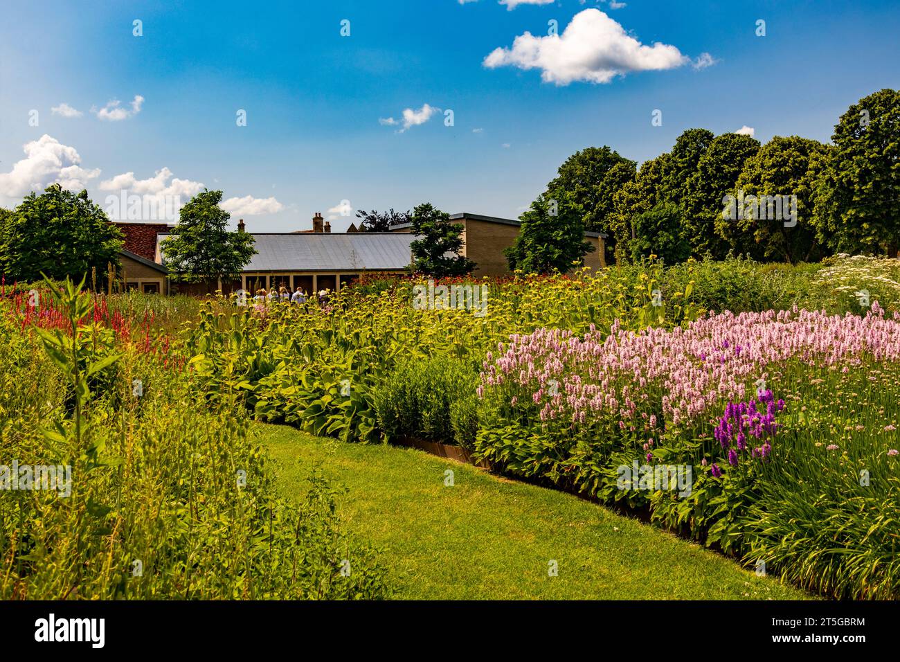 Colourful summer borders in the garden created by renowned Dutch ...
