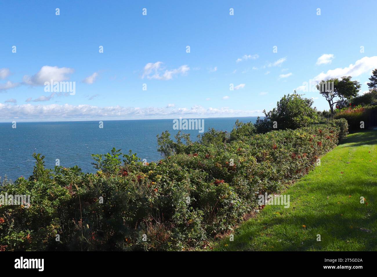 Cliff Overlooking Long Island Sound in New York Stock Photo - Alamy