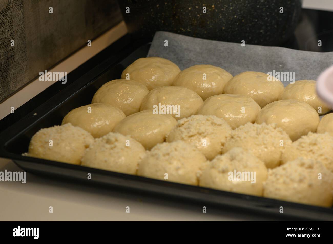 bun blanks on a baking sheet 2 Stock Photo - Alamy
