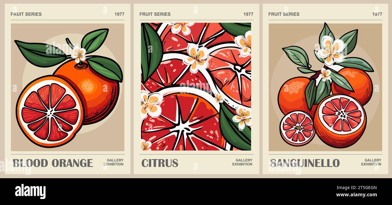 Abstract Blood orange Fruit Market retro posters Stock Vector Image ...