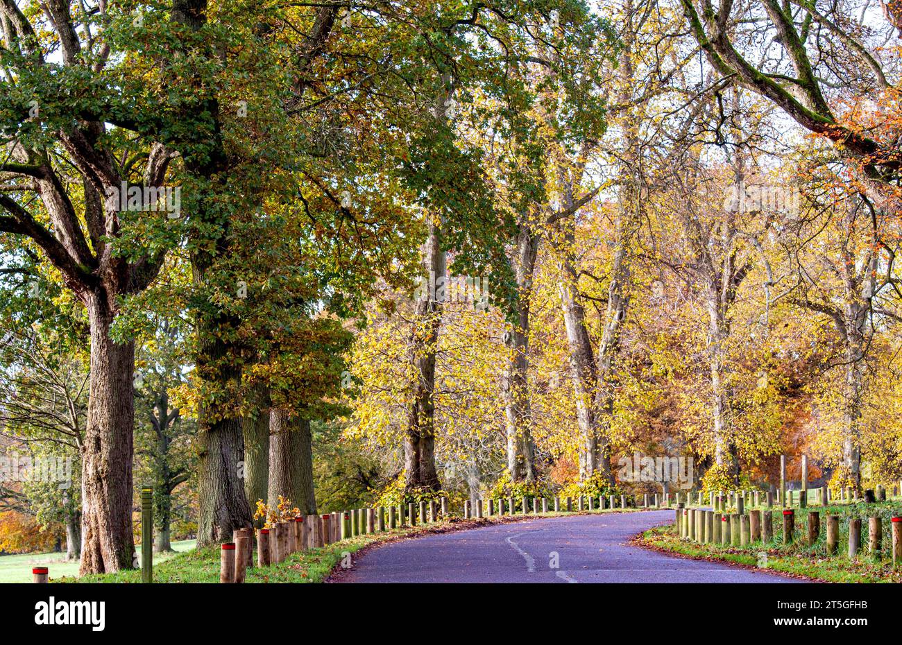Dundee, Tayside, Scotland, UK. 5th Nov, 2023. UK Weather: Beautiful ... Dundee, Tayside, Scotland, UK. 5th Nov, 2023. UK Weather: Beautiful ...