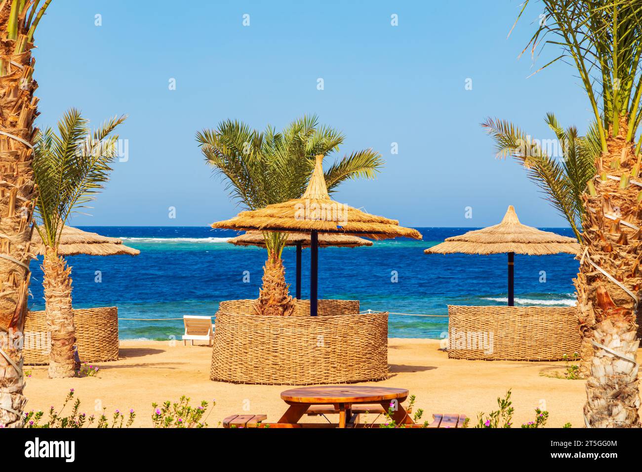 Sunny resort beach with palm trees and umbrellas on the shores of the ...