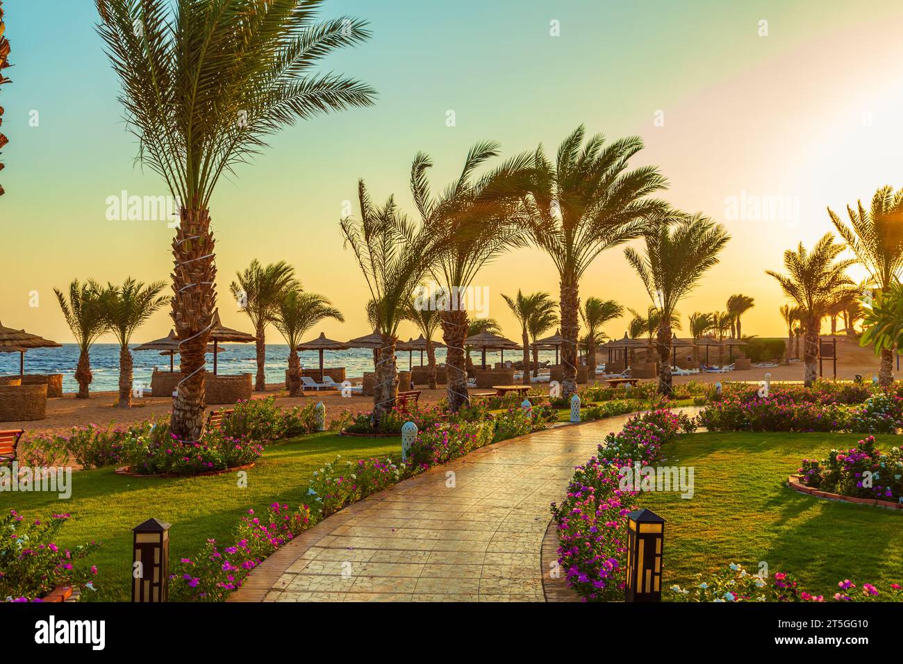 Beautiful hotel area on the Red Sea shore. Sunrise. Landscaping. Safaga ...
